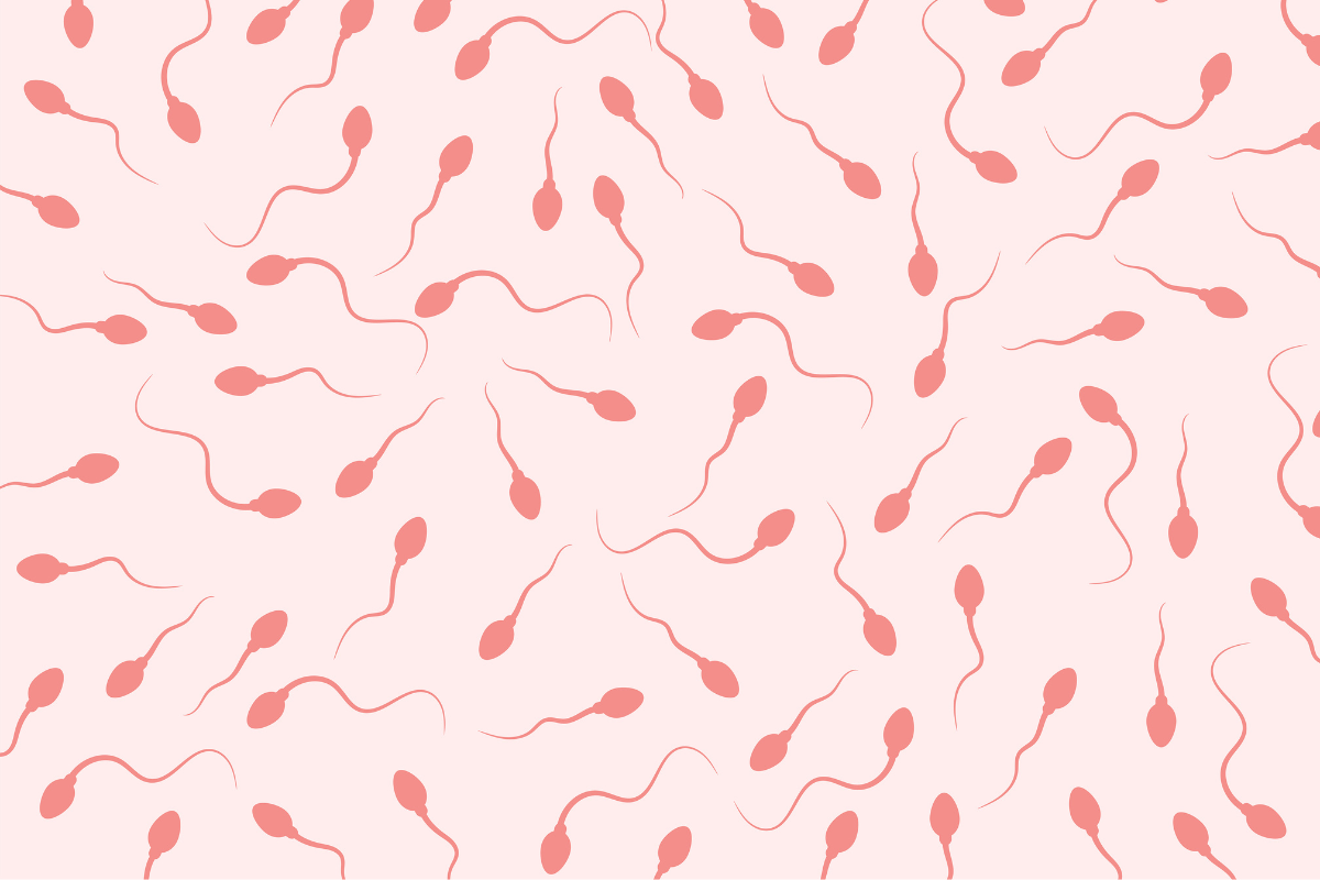 Understanding Male Sperm: Key Characteristics and Their Importance ...