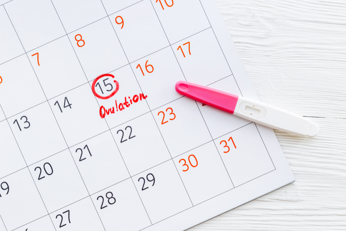 Understanding Ovulation – pre-Conceive